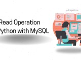 Read Operation In Python With Mysql