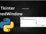 Python Tkinter Entry Widget A Comprehensive Guide