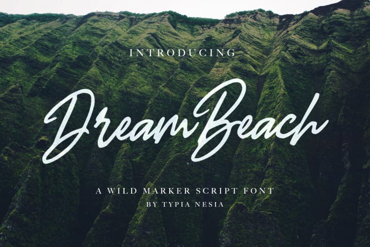 Dream Beach Script Font - UpFonts