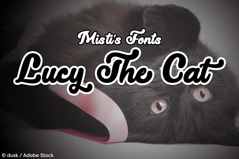 Lucy the Cat Script Font - UpFonts