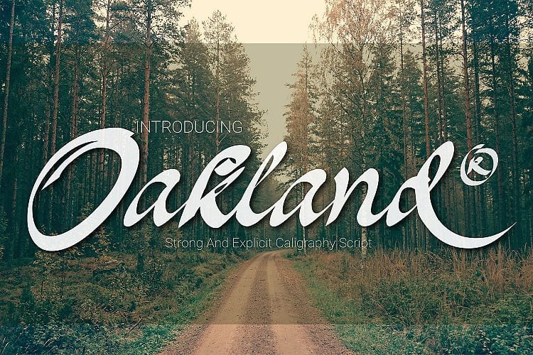 Oakland Script Font - UpFonts