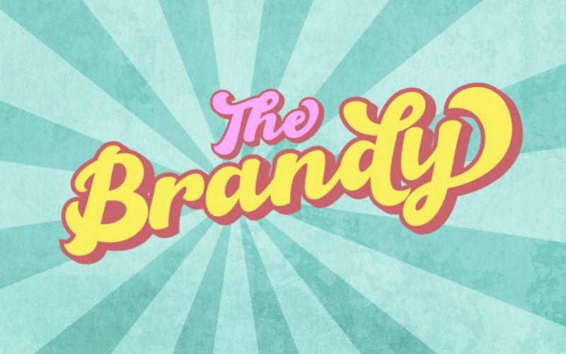 The Brandy Bold Script Font - UpFonts