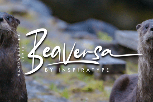 Beaversa Script Font - UpFonts