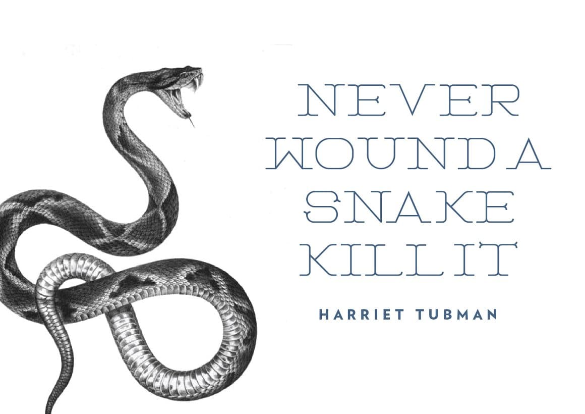 Serpent Display Font - UpFonts