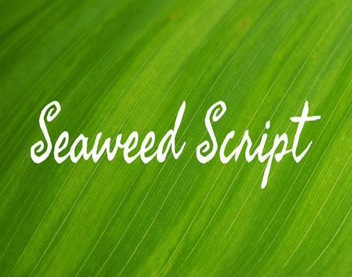 Seaweed Script Font - UpFonts