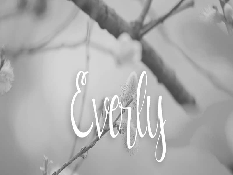 Everly Font - UpFonts