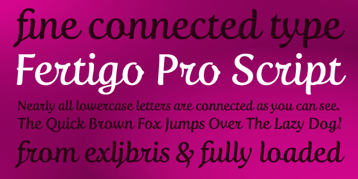 Fertigo Pro Script Font - UpFonts