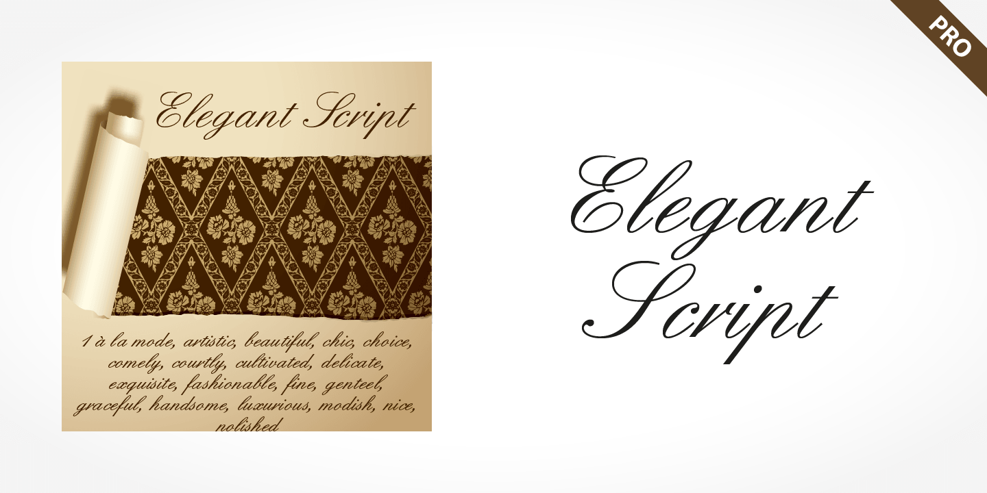 Elegant Script Pro Font - UpFonts