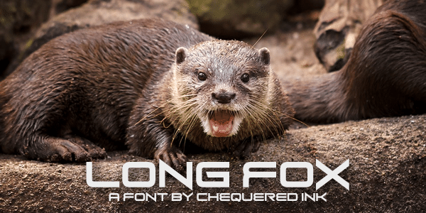 Long Fox Font - UpFonts