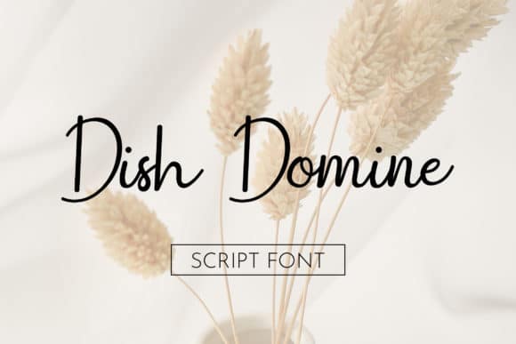 Dish Domine Handwritten Script Font - UpFonts