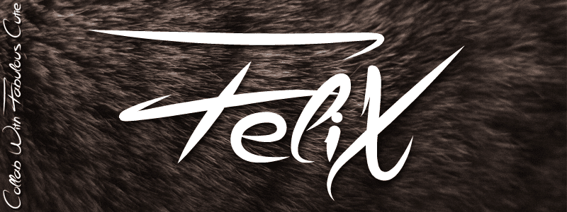 FeliX Font - UpFonts