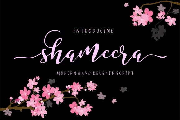 Shameera Script Font - UpFonts