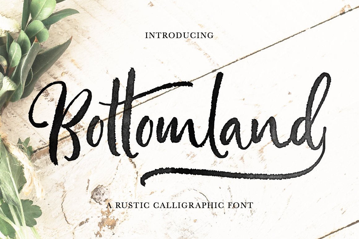 Bottomland Ink Script Font - UpFonts