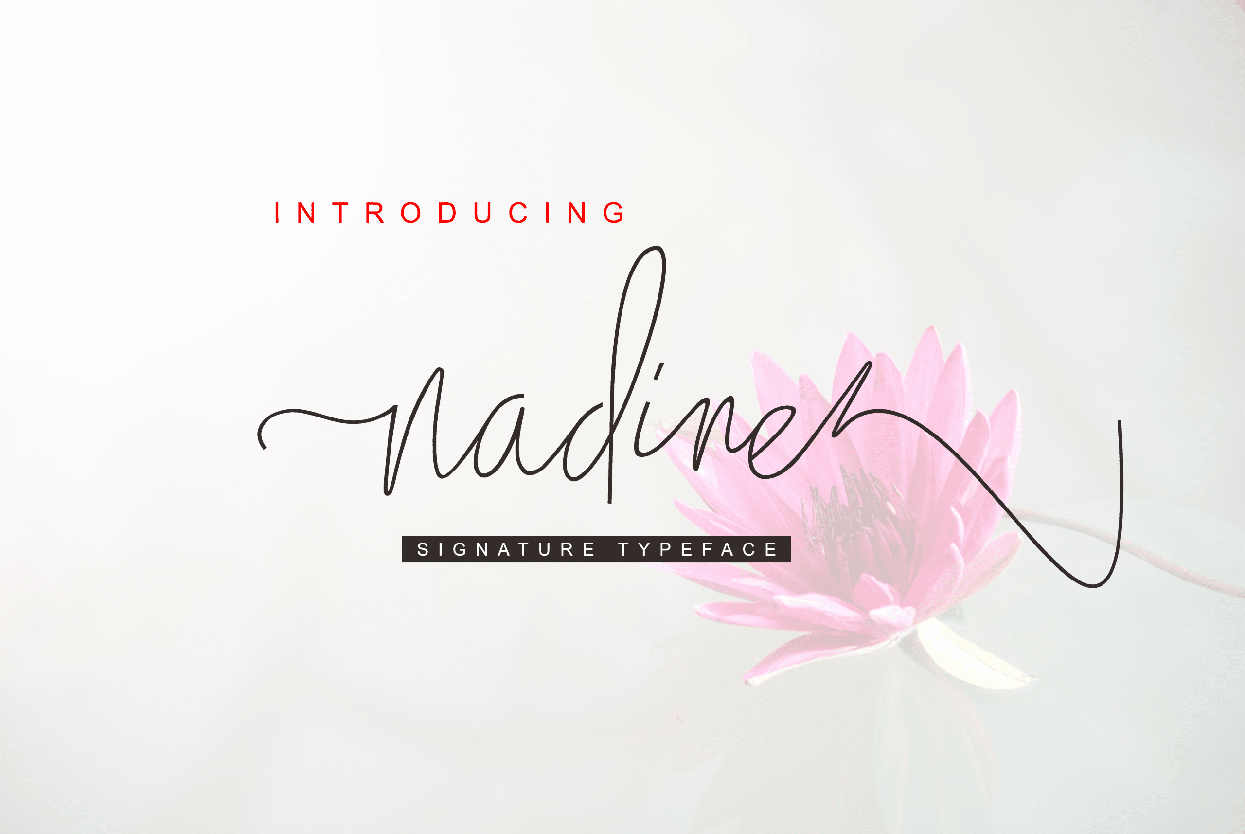 Nadine Script Font - UpFonts
