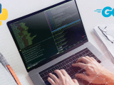 Python Vs Go Golang Choosing The Right Language For Your Project