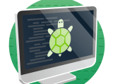 Intro To Python With Tracy The Turtle 2022 Overview Codehs