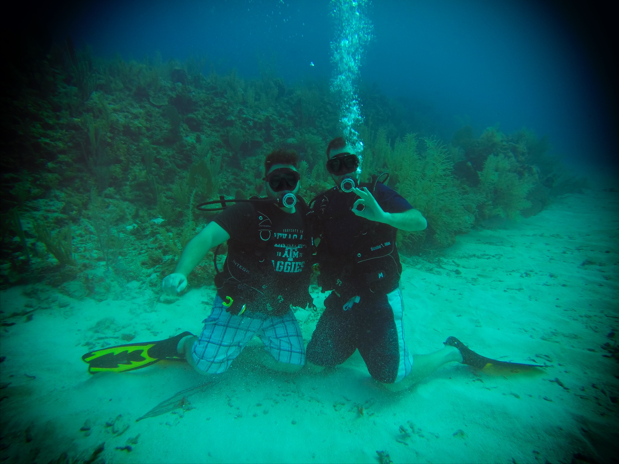 Belize Pro Dive Center: Amazing Intro Scuba Diving at Ambergris Caye ...