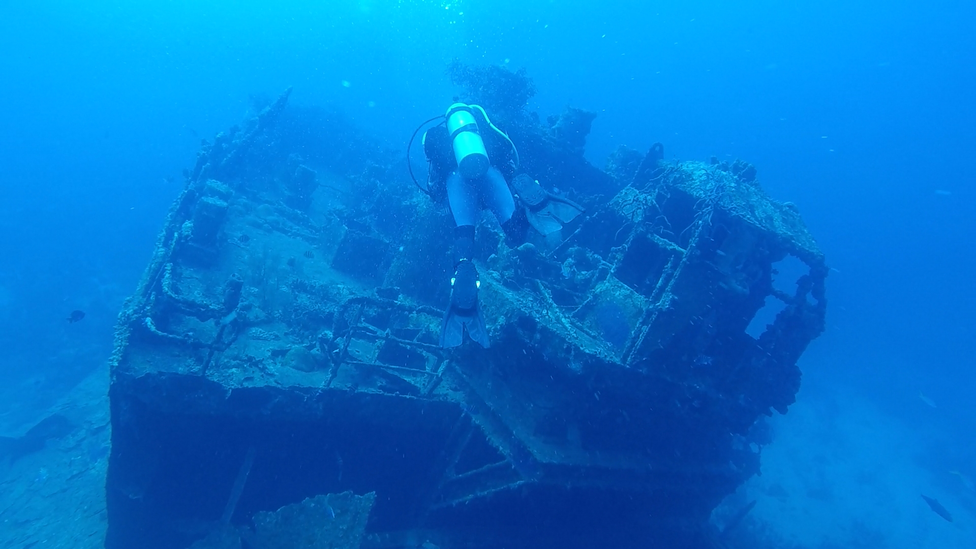 Scuba Diving the Jane Sea Wreck in Aruba - UponArriving