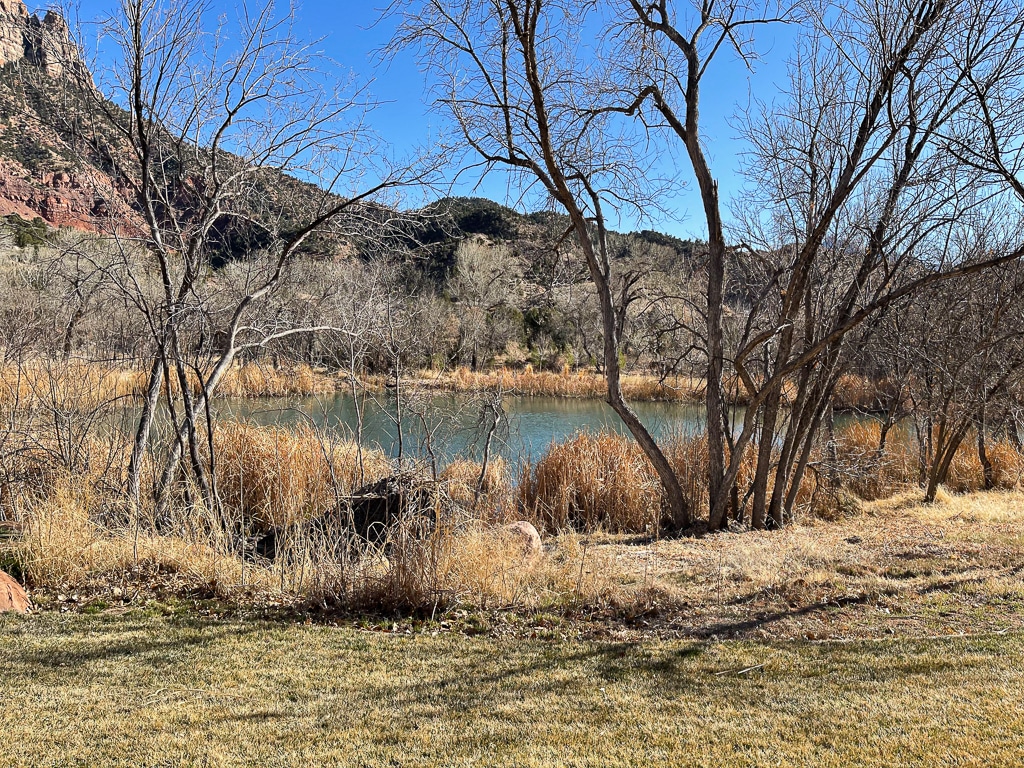 SpringHill Suites Springdale/Zion National Park Review [2021 ...