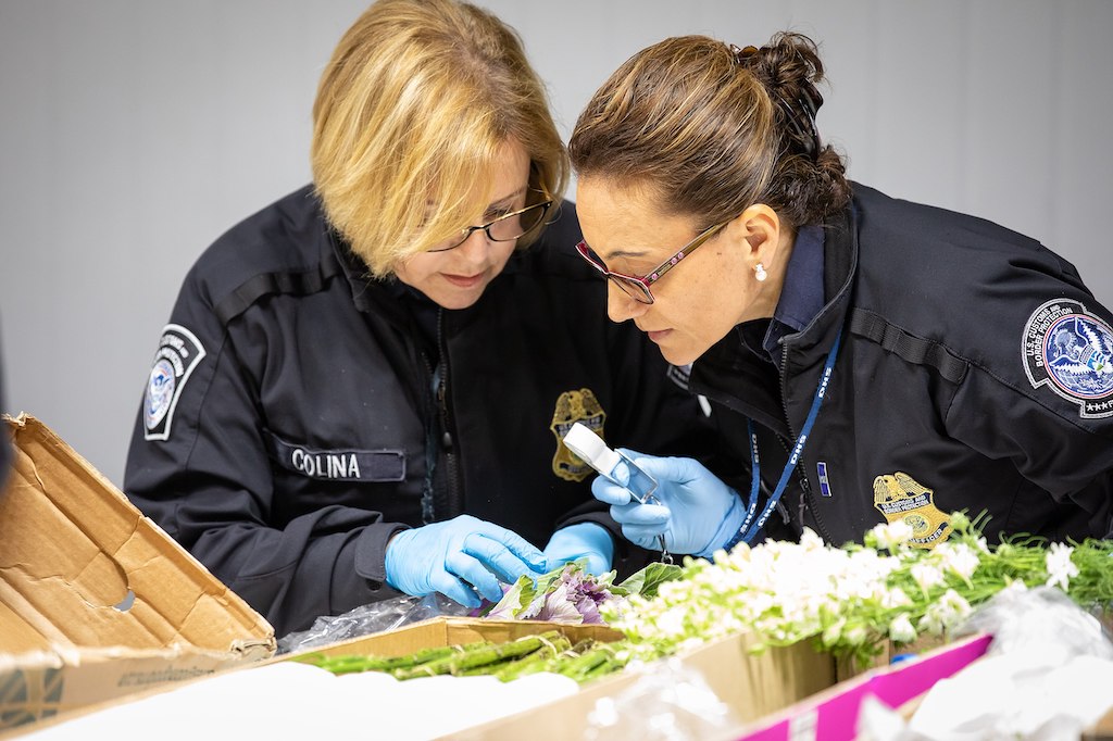 US Customs at the Airport: What You Need to Know [2022] - UponArriving