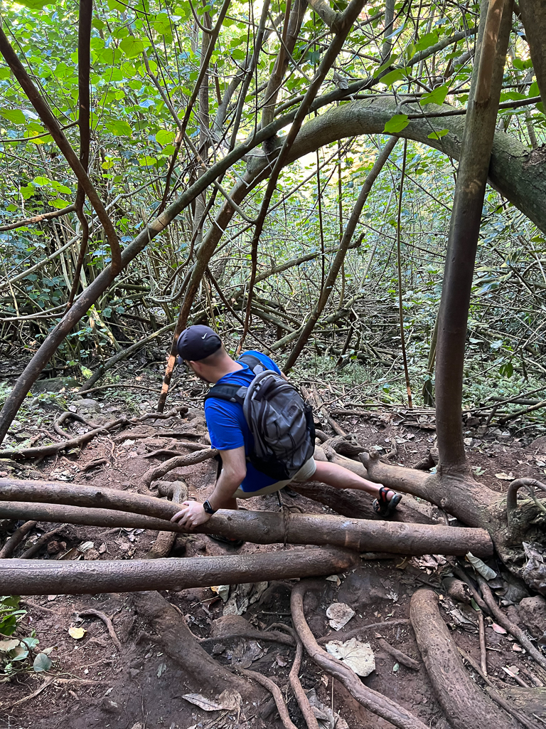 Hoopii Falls Trail Review | Kauai, Hawaii (Amber Mine) [2022 ...