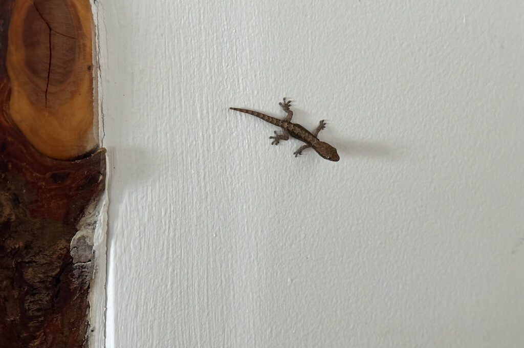 21 Things You Need to Know About Easter Island Before Visiting ...