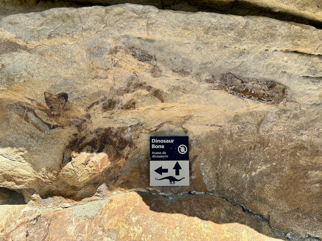 Dinosaur Ridge Review: A Prehistoric Trek with World-Class Tracks [2023 ...