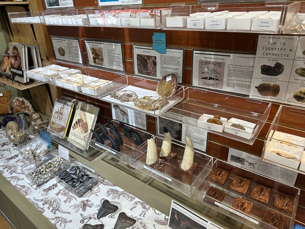 Dinosaur Ridge Review: A Prehistoric Trek with World-Class Tracks [2023 ...