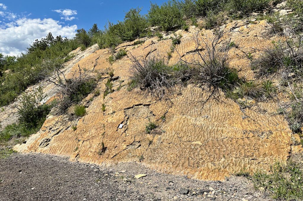 Dinosaur Ridge Review: A Prehistoric Trek with World-Class Tracks [2023 ...