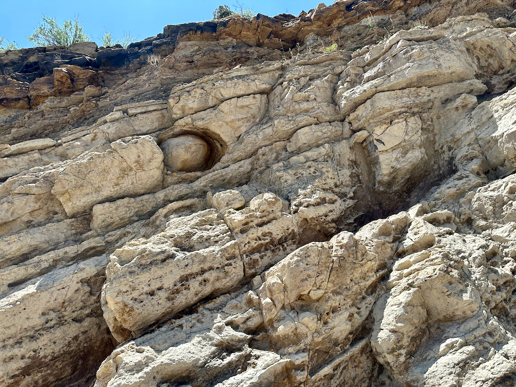 Dinosaur Ridge Review: A Prehistoric Trek with World-Class Tracks [2023 ...