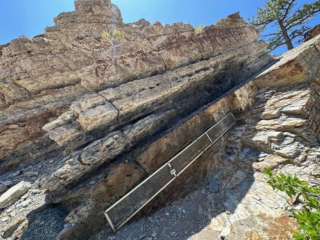 Dinosaur Ridge Review: A Prehistoric Trek with World-Class Tracks [2023 ...