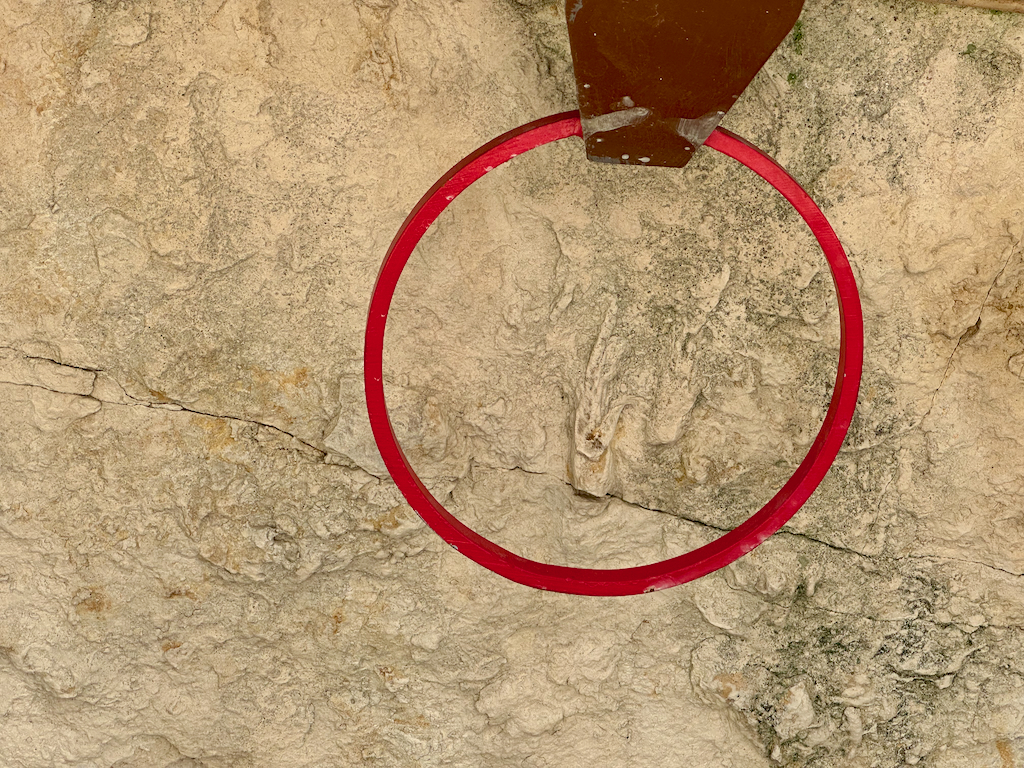 Dinosaur Ridge Review: A Prehistoric Trek with World-Class Tracks [2023 ...