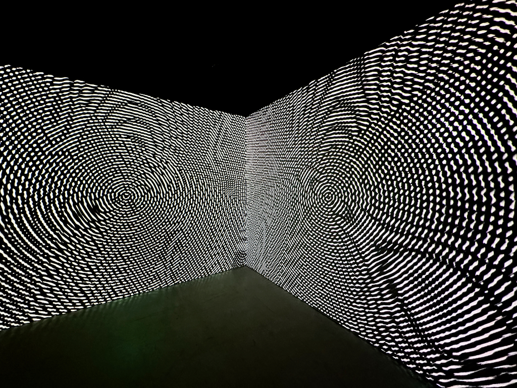 Meow Wolf Denver Convergence Station Review [2023] - UponArriving