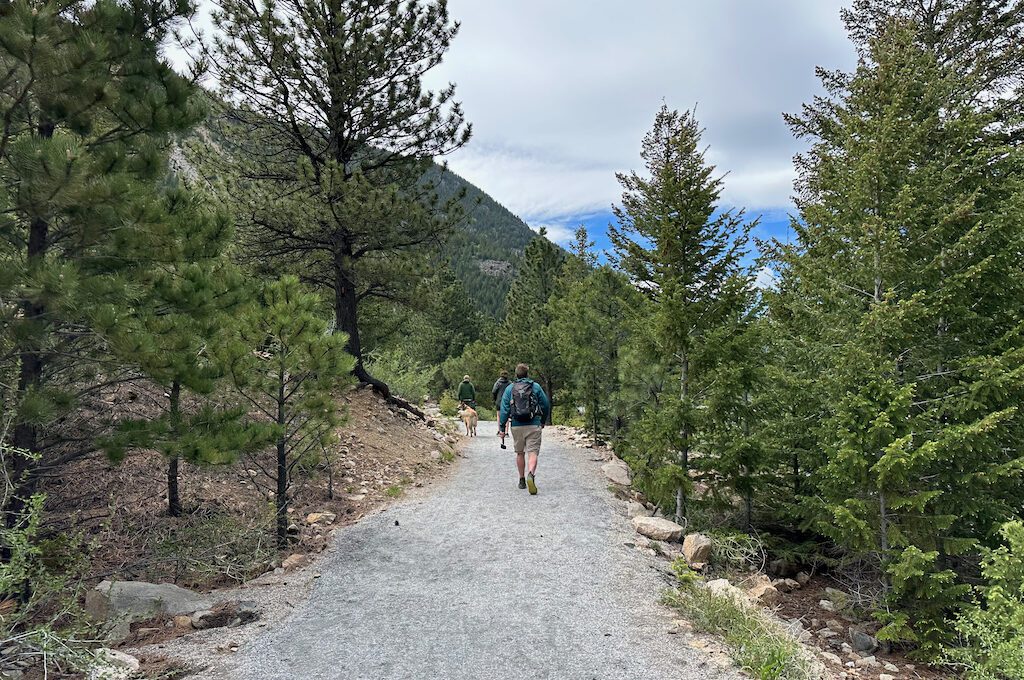 Georgetown Lake, Colorado Guide: Wildlife Spotting, Fishing, & Hiking ...