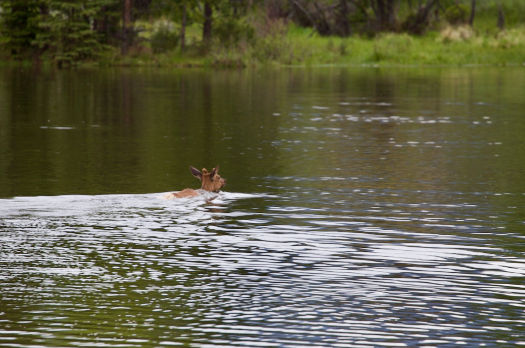 Discovering the Beauty of Lake Estes: A Guide to Scenic Trails and ...