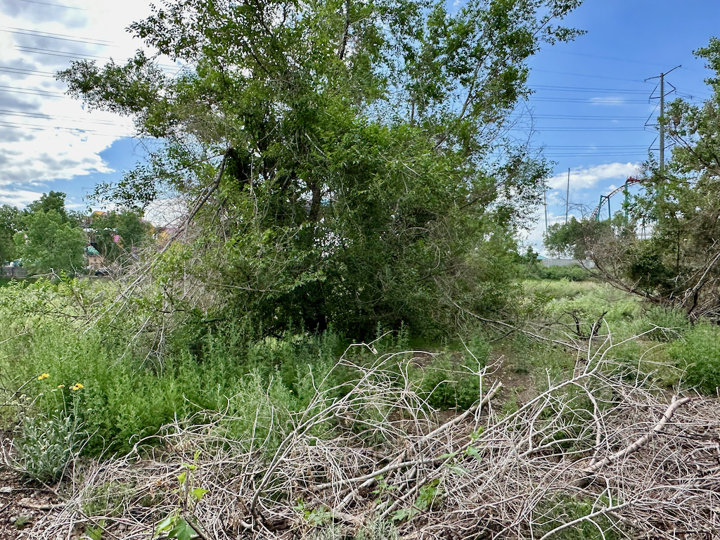 The Denver Trolley Review: Relive The Glory Days of the Streetcar ...