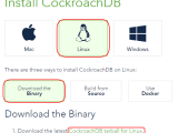 Install The Cockroachdb Software Uptimedba