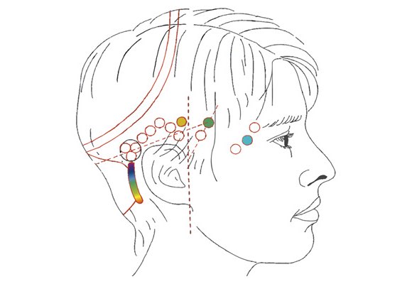 Access Bars – Yoga with Rahul