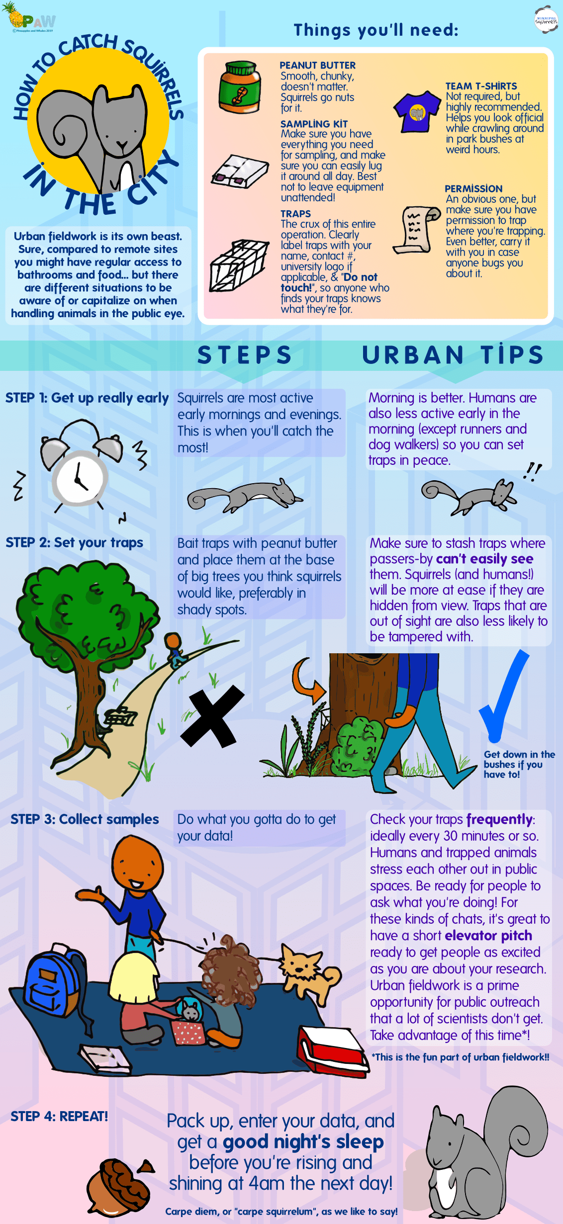 How to Catch Squirrels in Cities – Life in the City