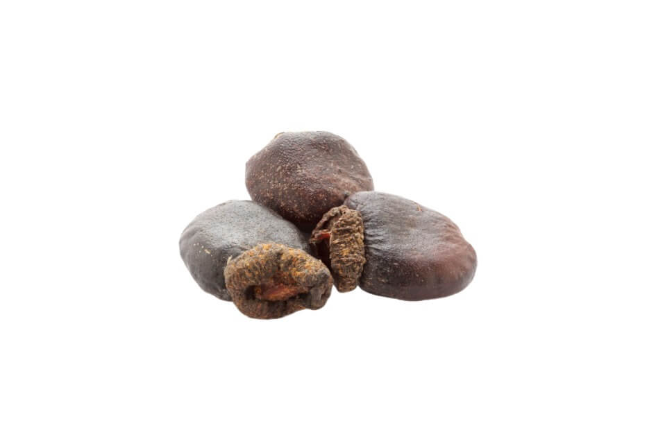 بلادر/ Marking Nut/ Semecarpus anacardium - urdupoint