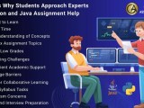 Why Students Seek Programming Assignment Help For Python Java