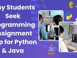 Why Students Seek Programming Assignment Help For Python Java
