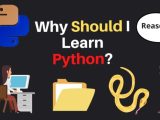 Why Should I Learn Python Usemynotes