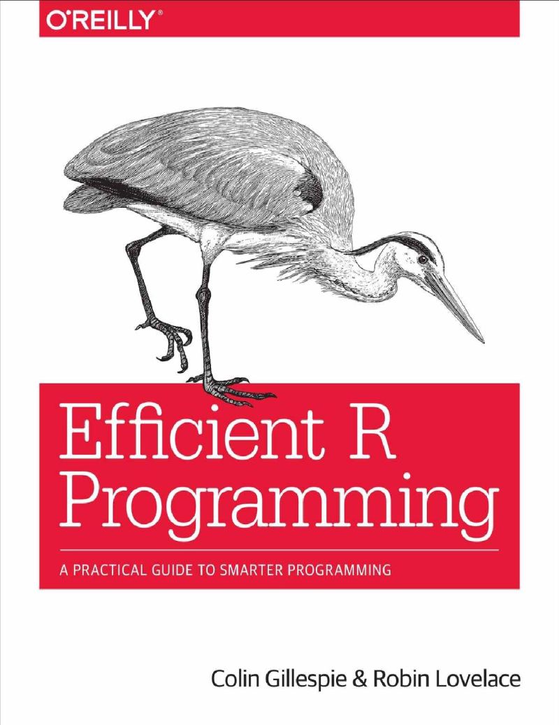 Efficient R Programming Practical Guide Bookzone - Light Art Collection - 4K Quality