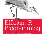 Efficient R Programming A Practical Guide To Smarter Programming
