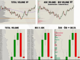 Delta Volume Profile Usethinkscript Community