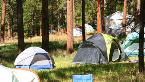 MeadowGrass Music Festival – US Represented