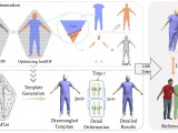D3 Human