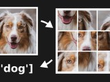 Github Computervisioneng Image Classification Feature Extraction