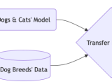Introduction To Deep Learning Transfer Learning